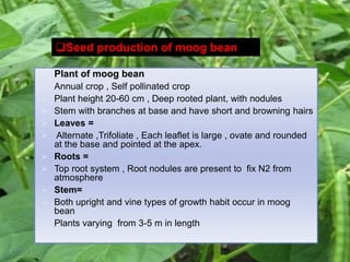 SEED PRODUCTION OG GREEN GRAM AND BLACK GRAM | PPTX