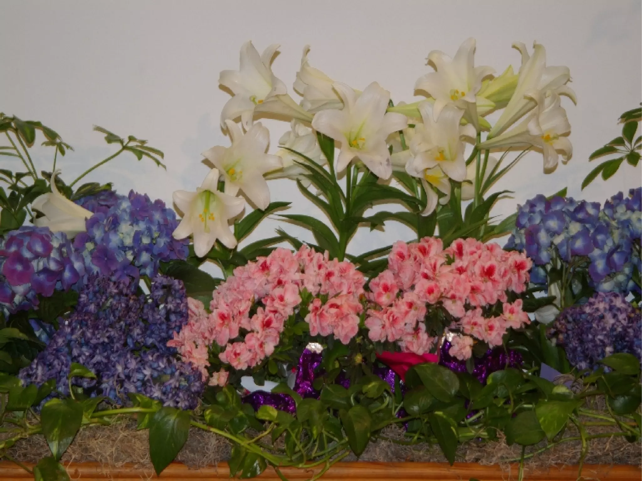 Welcome to Calvary Chapel | PPT