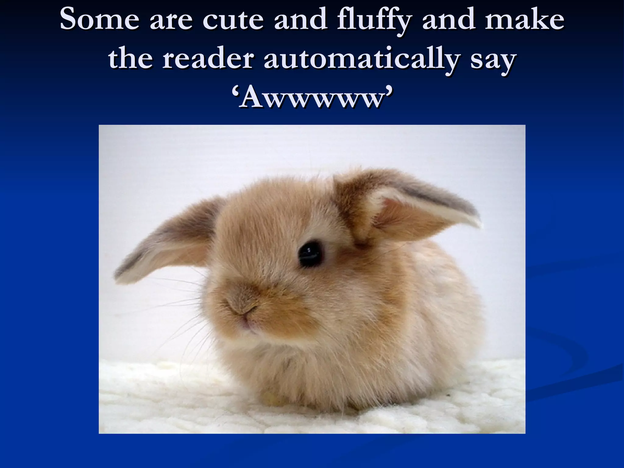 Welcome To The Wonderful World Of Plot Bunnies | PPT
