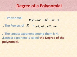 Polynomial | PDF | Physics | Science