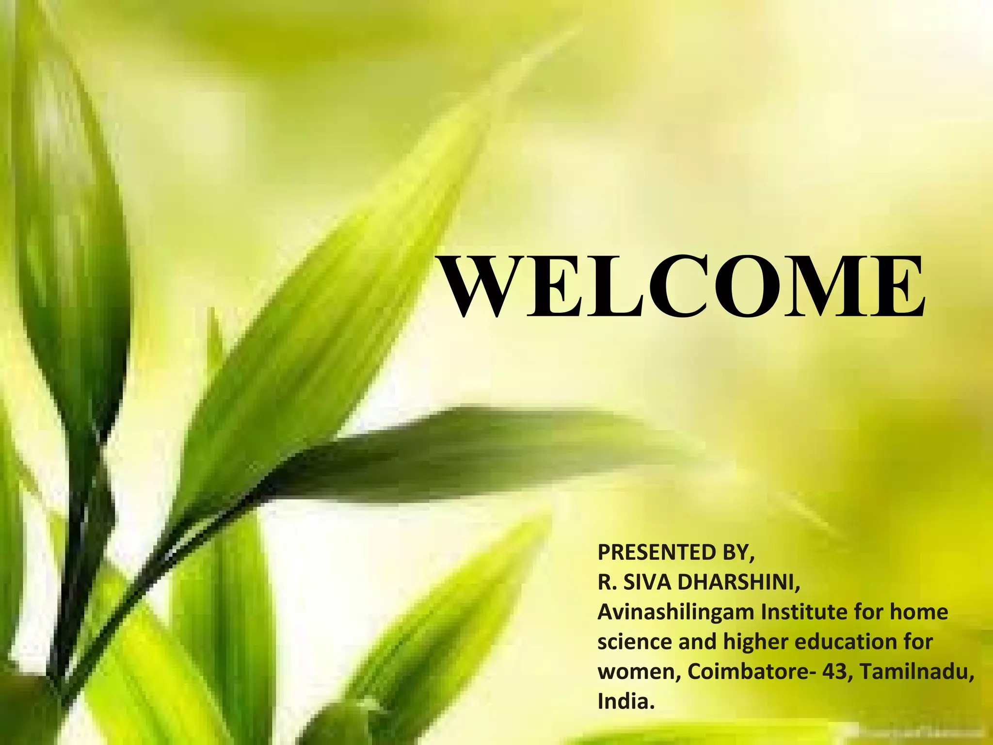PHYTOCHEMICAL ANALYSIS AND ANTIBACTERIAL ACTIVITY OF LEAVES EXTRACT ...