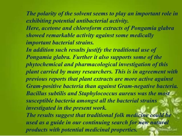 PHYTOCHEMICAL ANALYSIS AND ANTIBACTERIAL ACTIVITY OF LEAVES EXTRACT ...