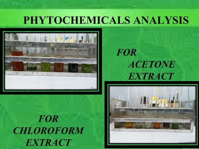 PHYTOCHEMICAL ANALYSIS AND ANTIBACTERIAL ACTIVITY OF LEAVES EXTRACT ...