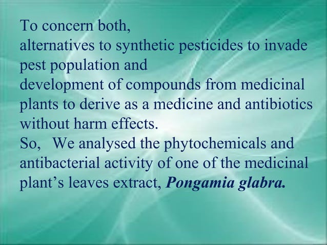PHYTOCHEMICAL ANALYSIS AND ANTIBACTERIAL ACTIVITY OF LEAVES EXTRACT ...