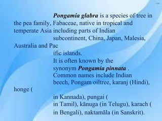 PHYTOCHEMICAL ANALYSIS AND ANTIBACTERIAL ACTIVITY OF LEAVES EXTRACT ...