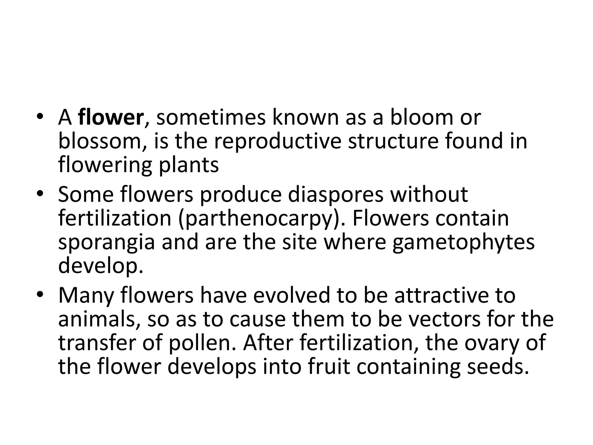 Welcome Flowers.pptx