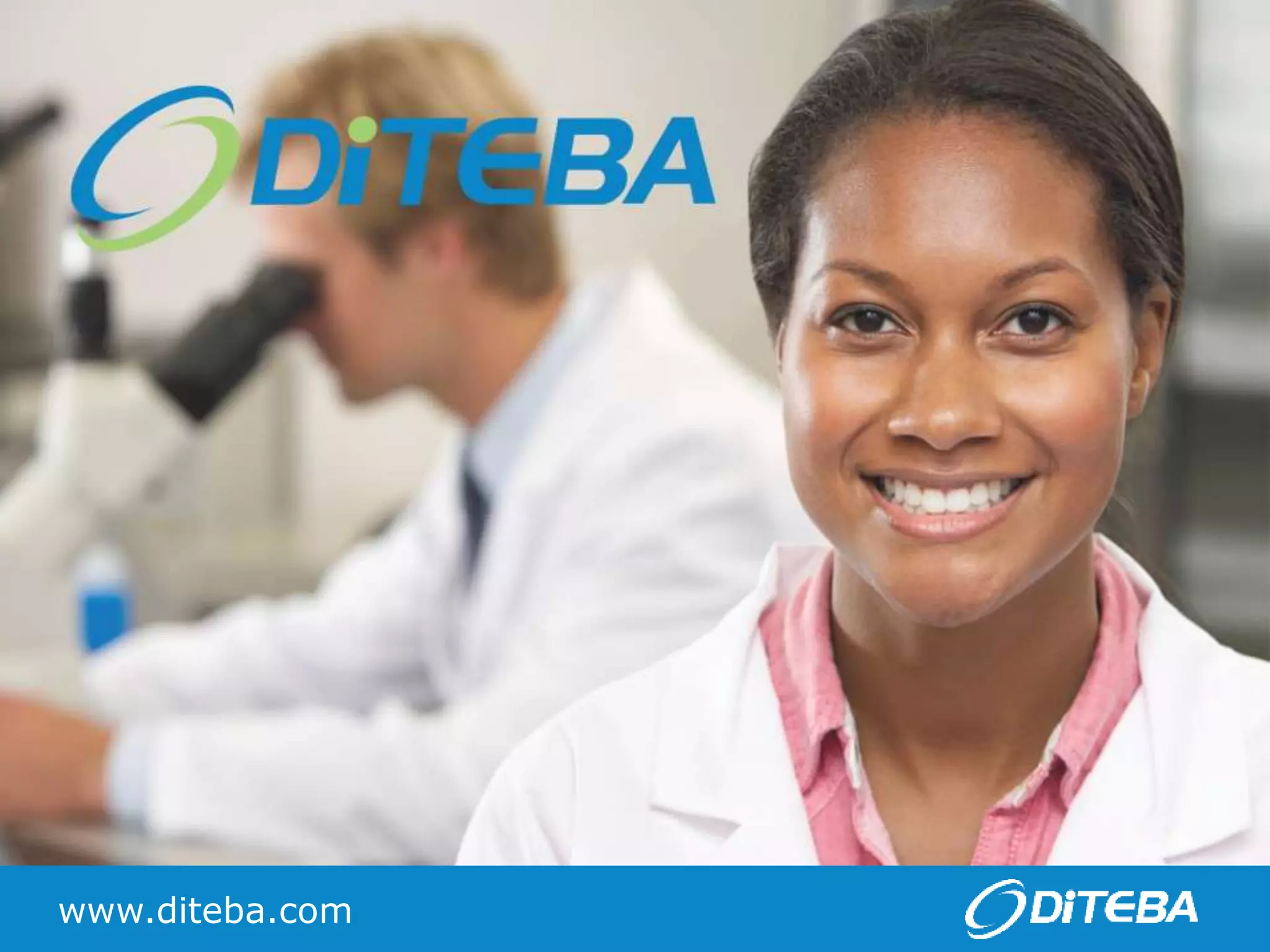Diteba Corporate Capabilities | PPT