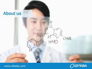 Diteba Corporate Capabilities | PPT