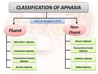 Aphasia Types, Causes, Symptoms, Diagnosis, Treatment, 42% OFF