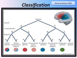 aphasia in brief | PPTX