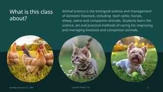 Welcome to Animal Science Powerpoint.... | PPTX