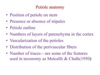 Application of anatomy in Plant Systematics & Pharmacognosy | PDF