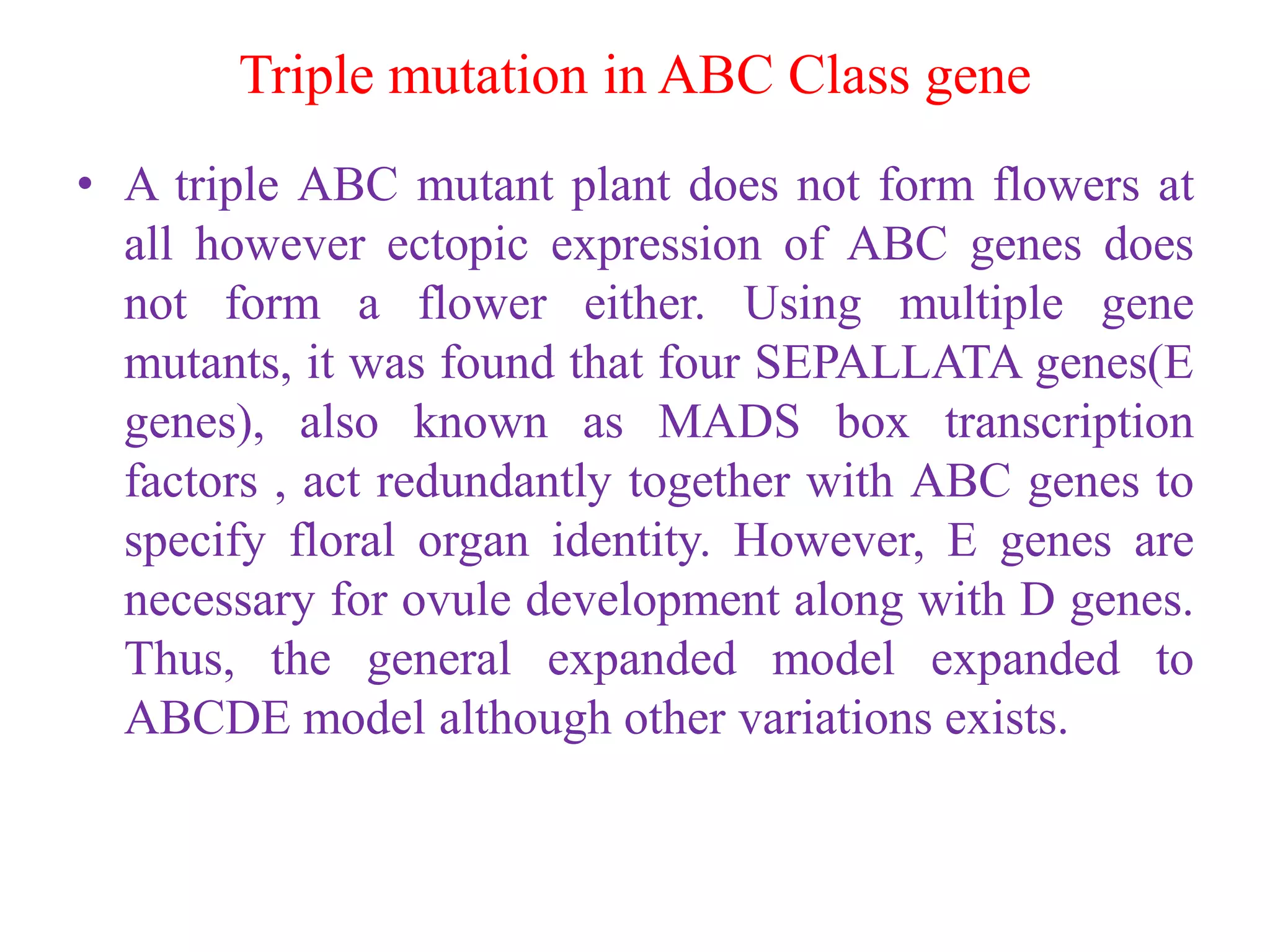 Welcome to flower development -Genetic & Molecular aspects | PDF