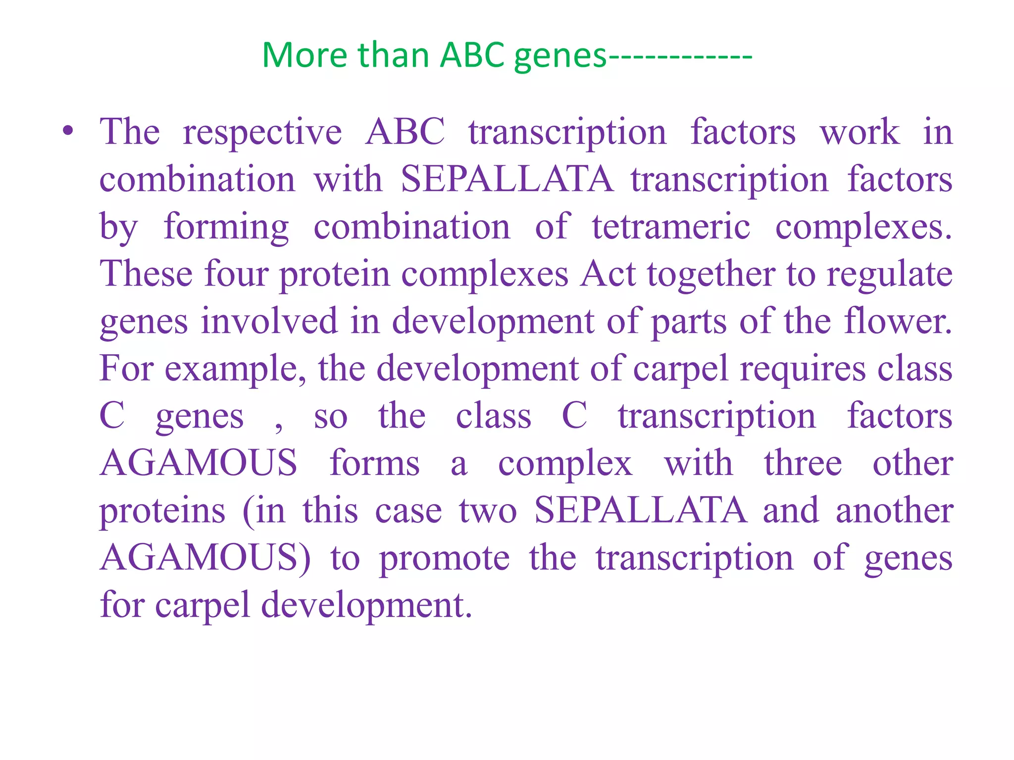 Welcome to flower development -Genetic & Molecular aspects | PDF