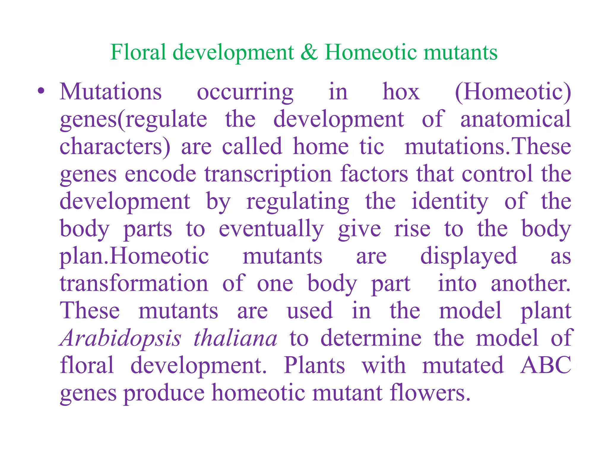 Welcome to flower development -Genetic & Molecular aspects | PDF