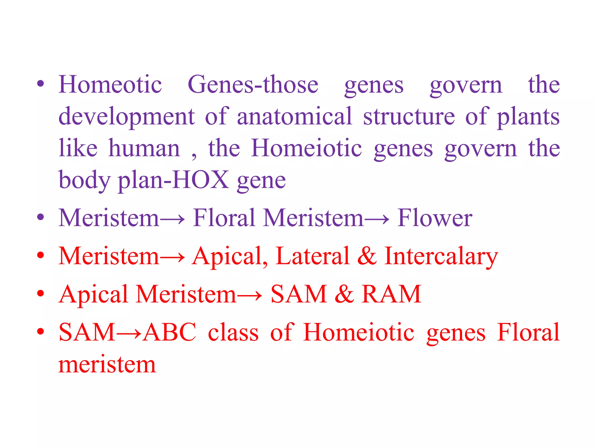 Welcome to flower development -Genetic & Molecular aspects | PDF