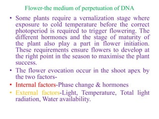 Welcome to flower development -Genetic & Molecular aspects | PDF