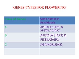 Welcome to flower development -Genetic & Molecular aspects | PDF