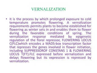 Welcome to introduction to reproductive development (induction of ...