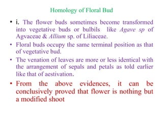 Welcome to introduction to reproductive development of plant | PDF ...