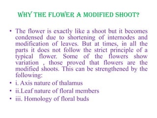 Welcome to introduction to reproductive development of plant | PDF ...