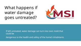 Welcome To Mold Solutions And Inspections.pptx
