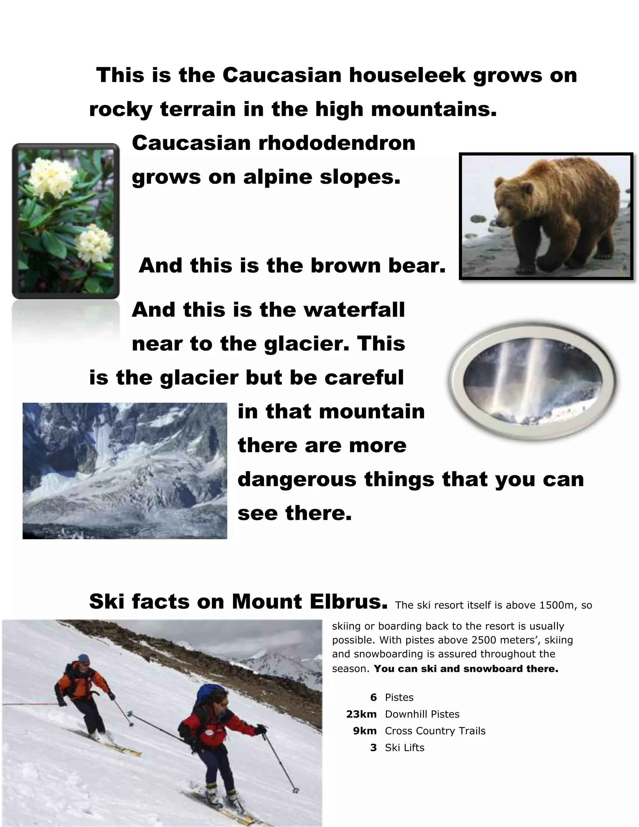 Welcome To Mount Elbrus | DOCX