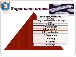 Industrial Tour and field visit | PPT