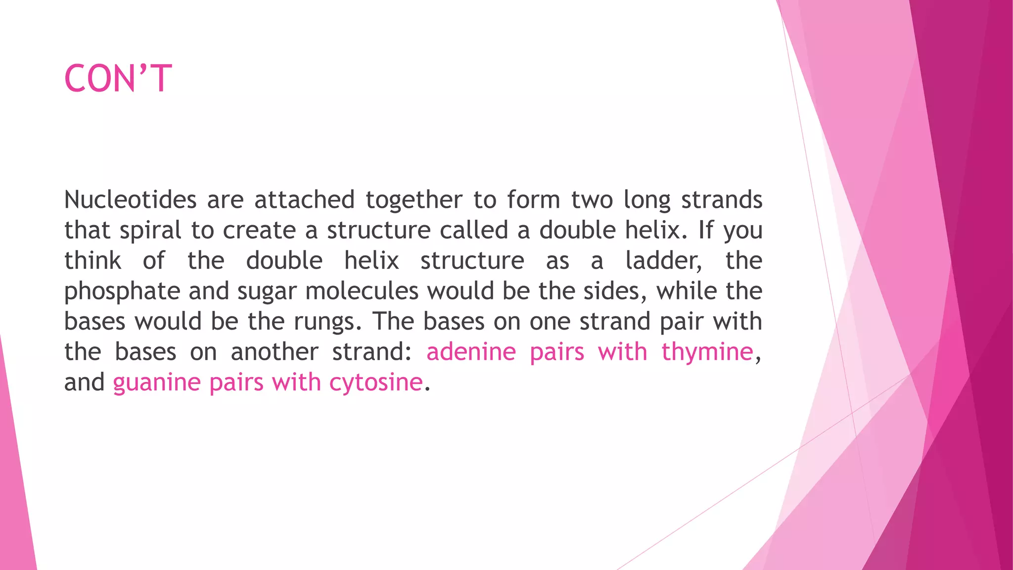 DNA Double Helix Structure | PPTX
