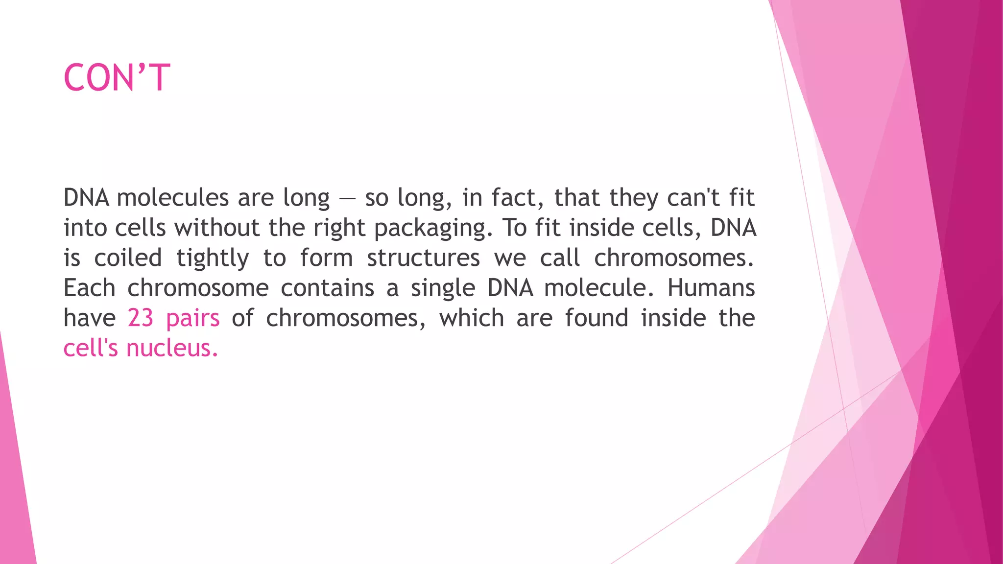 DNA Double Helix Structure | PPTX
