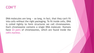DNA Double Helix Structure | PPTX