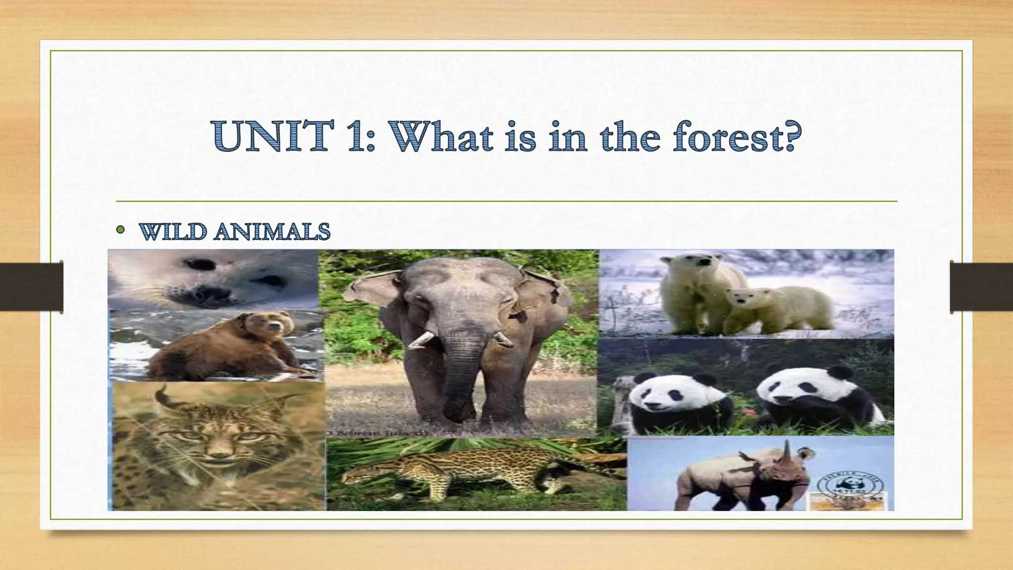 Welcome to nature | PPT