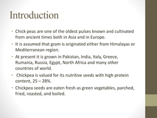 Production technology of Chickpea. | PPTX