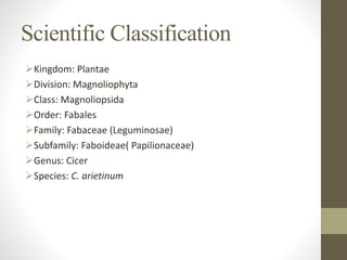 Production technology of Chickpea. | PPTX