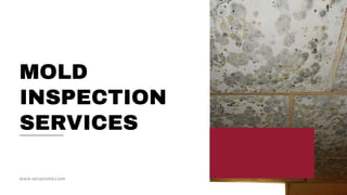 Welcome To Professional Mold Inspection.pptx
