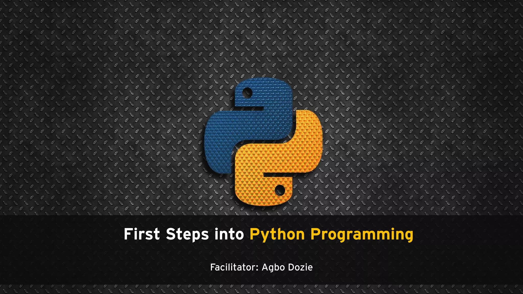 First Steps in Python Programming | PPT