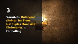 First Steps in Python Programming | PPT