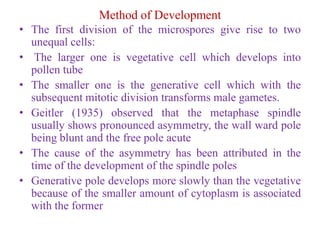Microgametogenesis- Brief Idea | PDF