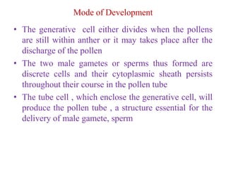 Welcome to sem5(hons) microgemetogenesis | PPT