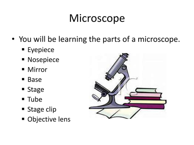 Welcome to sixth grade science! | PPTX