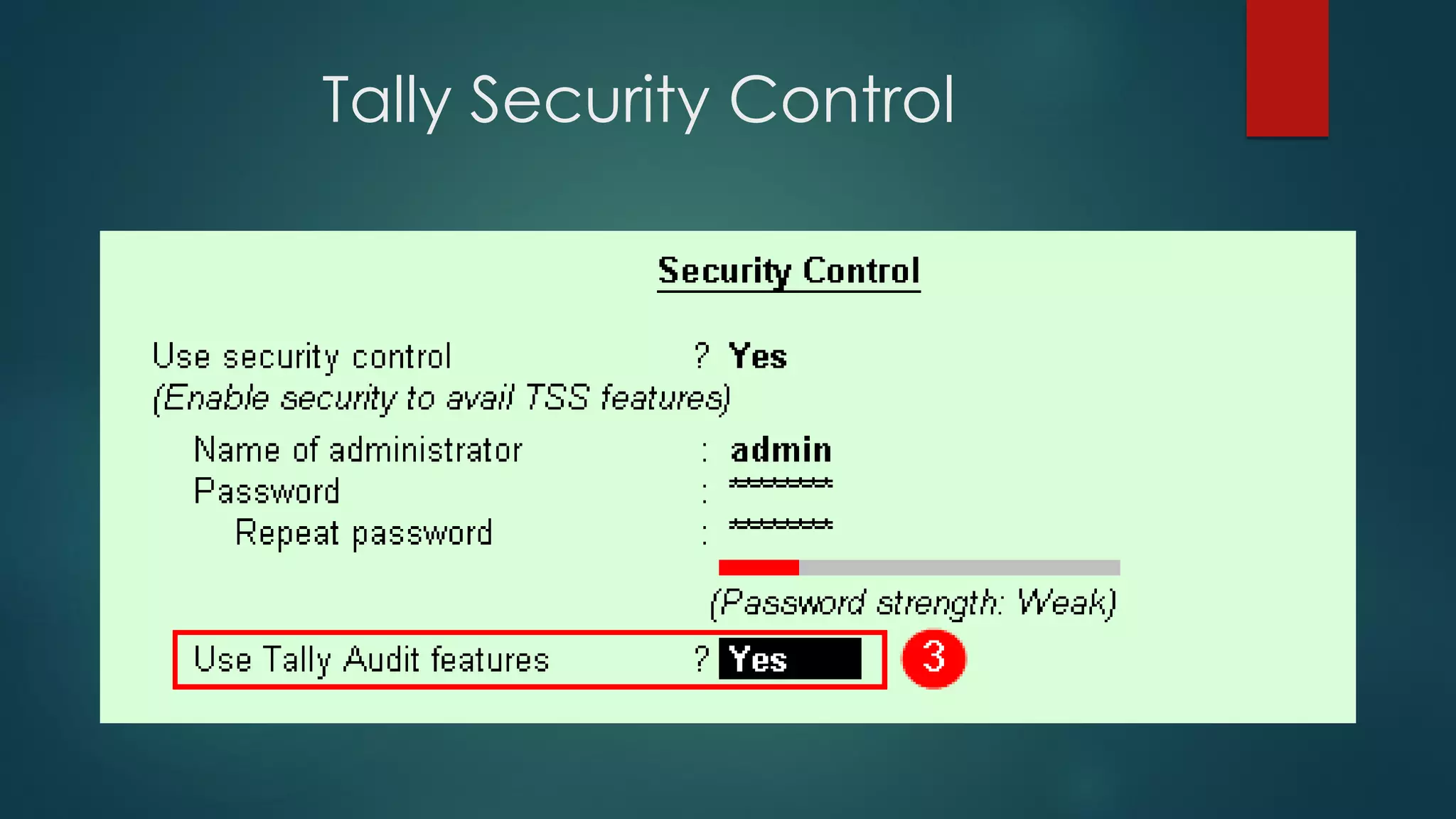 Tally audit | PDF