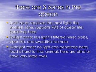 Welcome to the twilight zone | PPTX