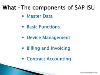 SAP ISU Training | PDF