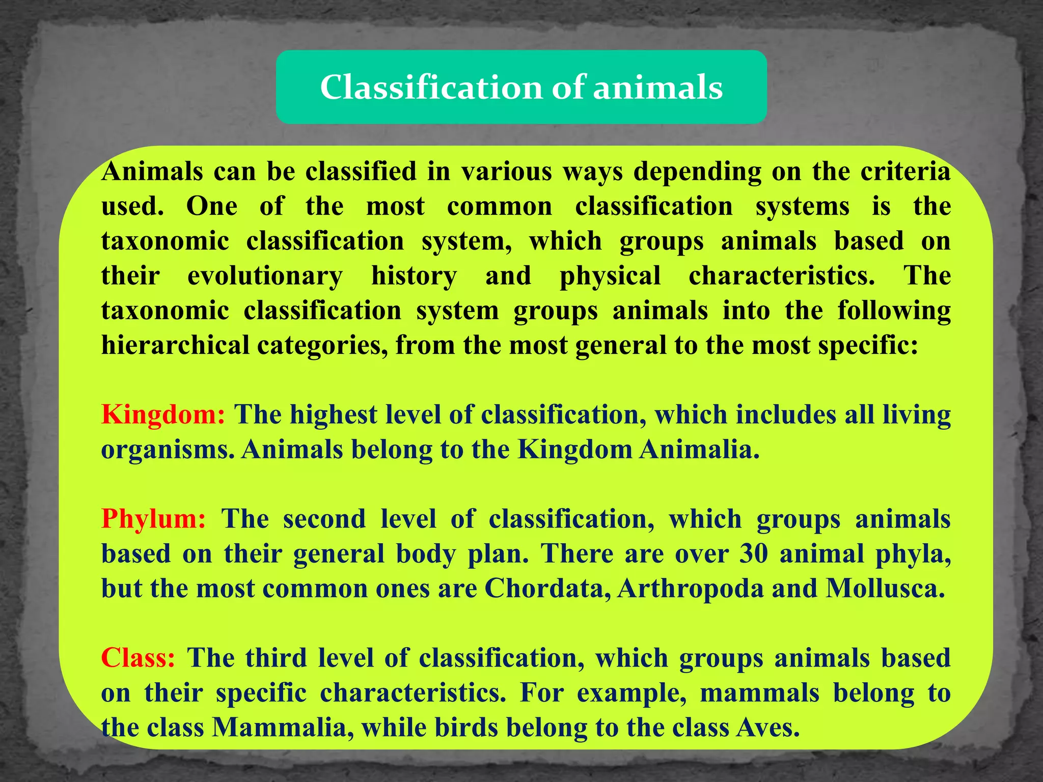 WELCOME TO THE WORLD OF ZOOLOGY.pptx