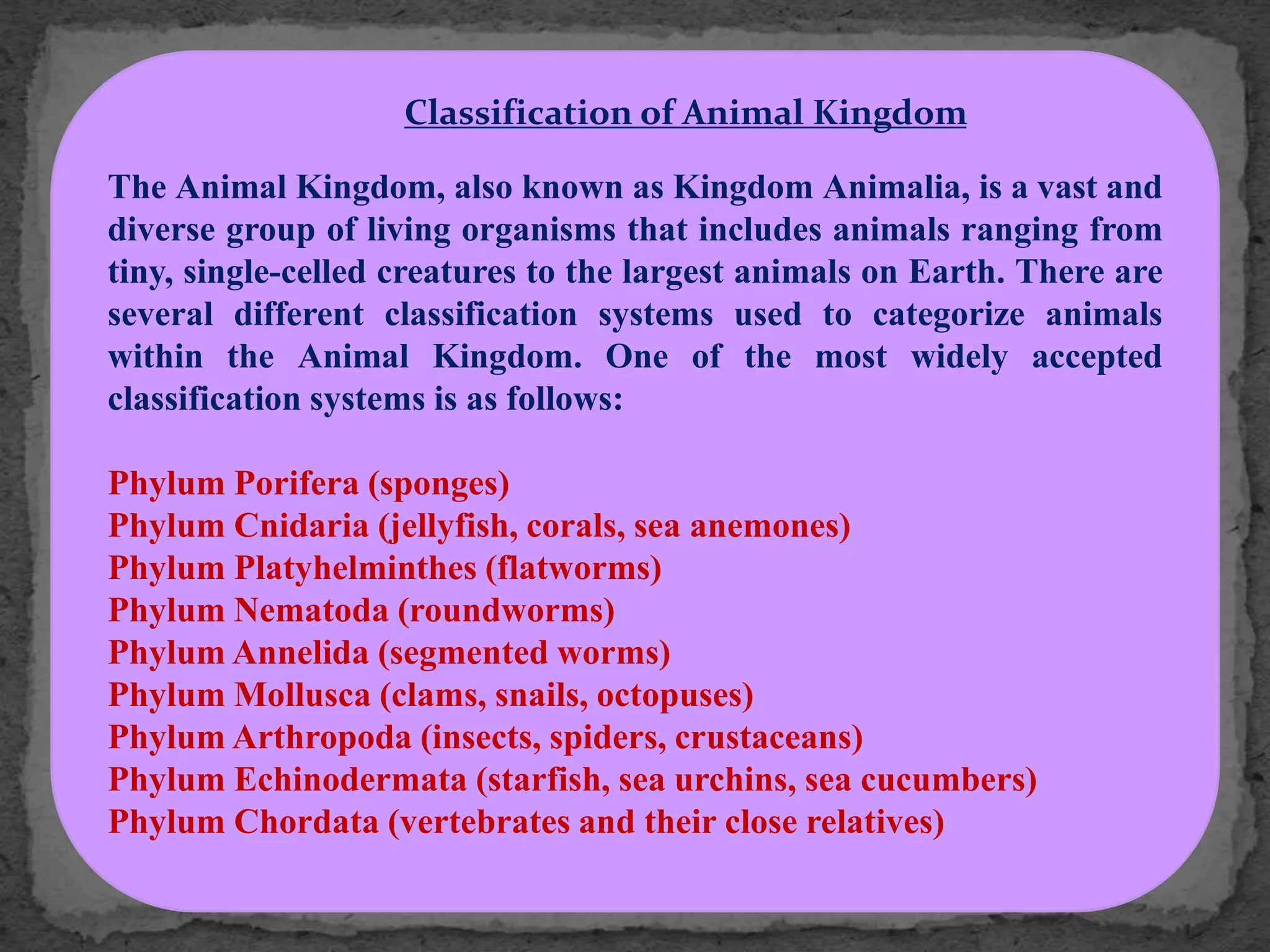 WELCOME TO THE WORLD OF ZOOLOGY.pptx