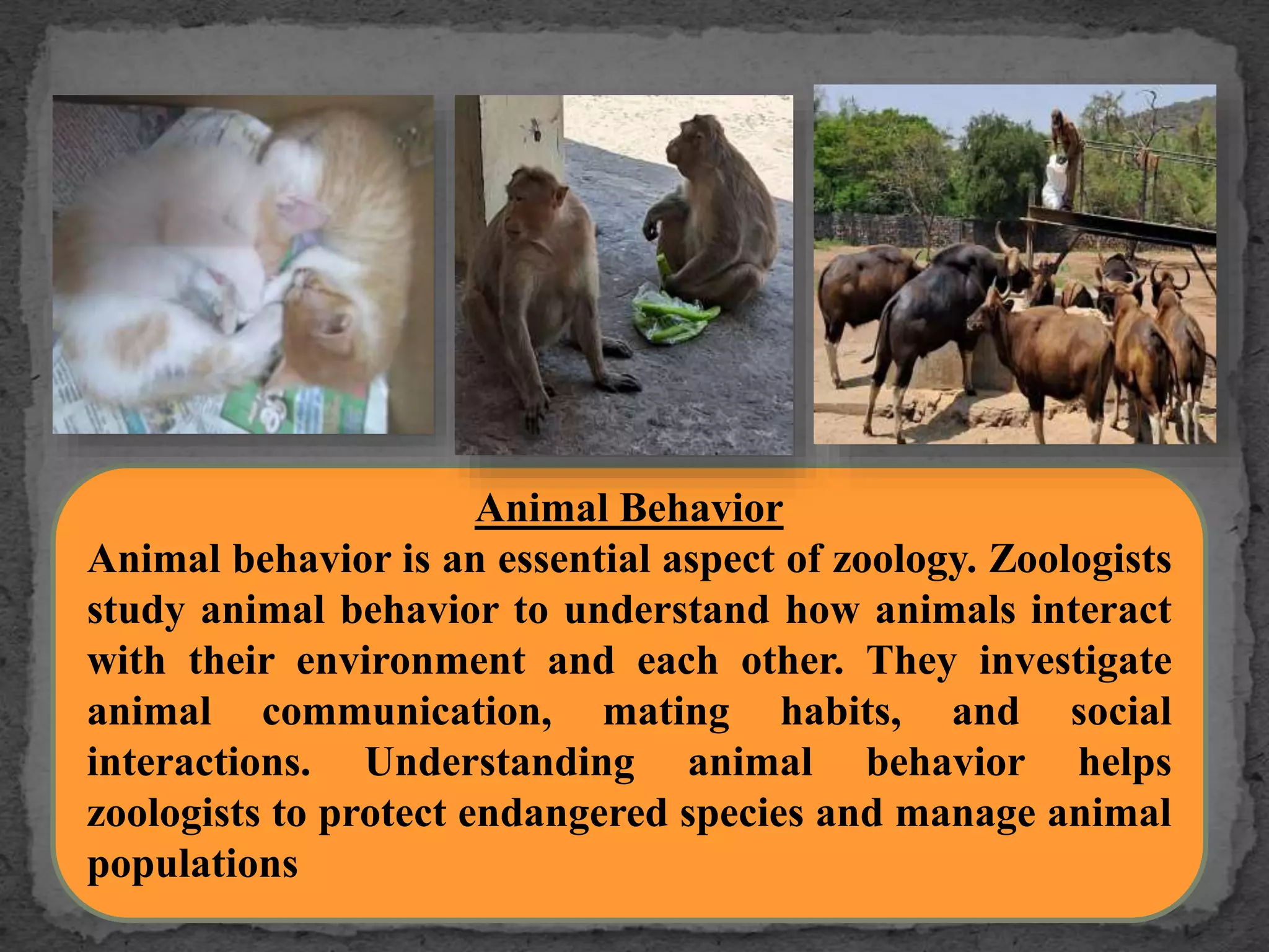 WELCOME TO THE WORLD OF ZOOLOGY.pptx | Biological Sciences | Science