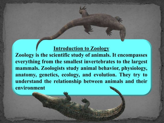 WELCOME TO THE WORLD OF ZOOLOGY.pptx | Biological Sciences | Science