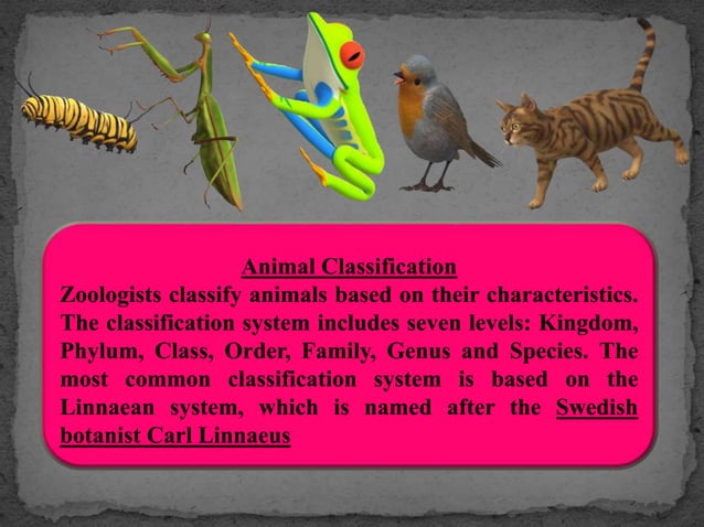 WELCOME TO THE WORLD OF ZOOLOGY.pptx | Biological Sciences | Science