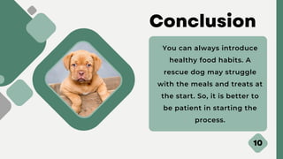 Welcoming a New Pet (1).pdf