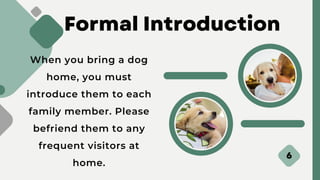 Welcoming a New Pet (1).pdf